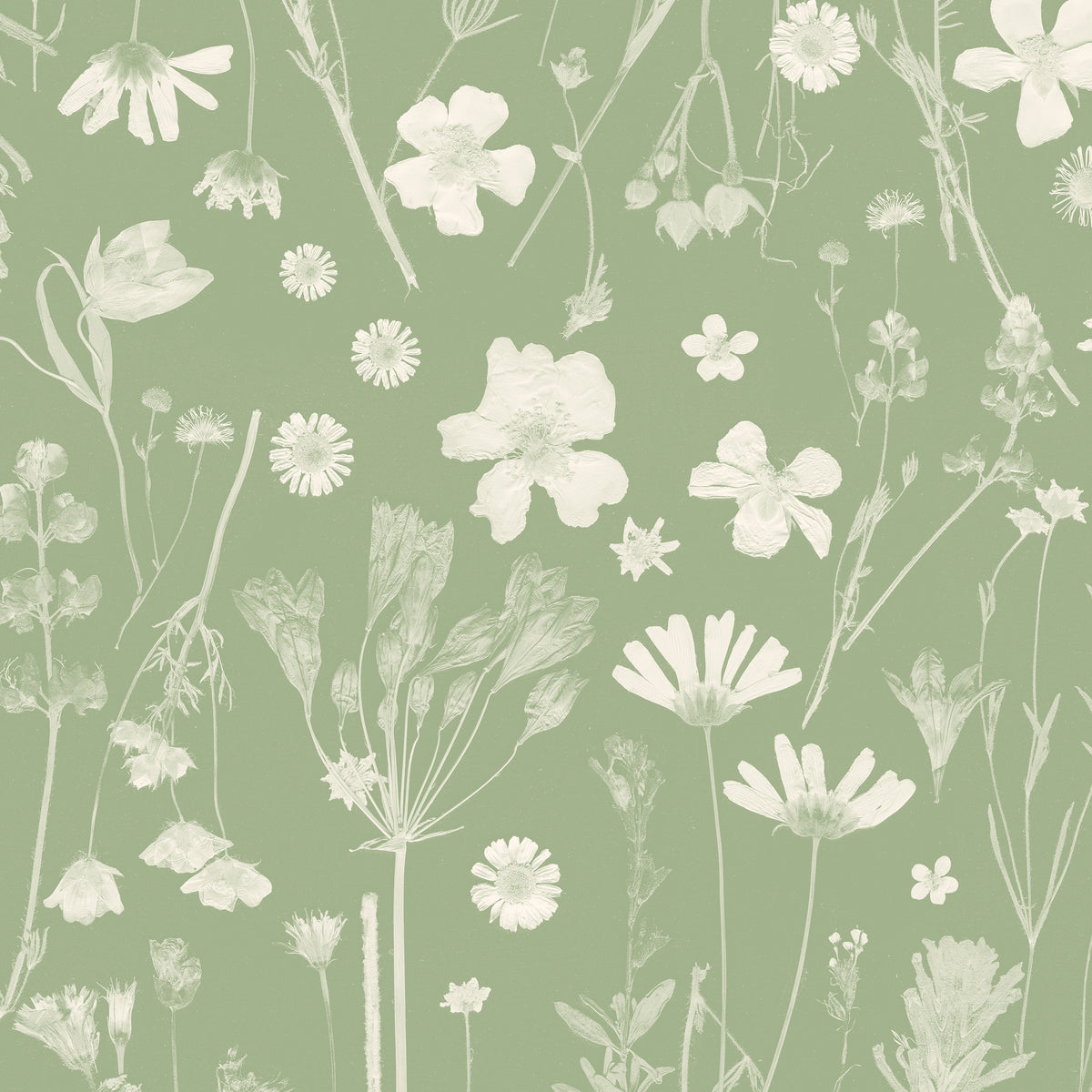 Farm Flowers - Softened Green - Pressed Flower Wallpaper – Domain of ...